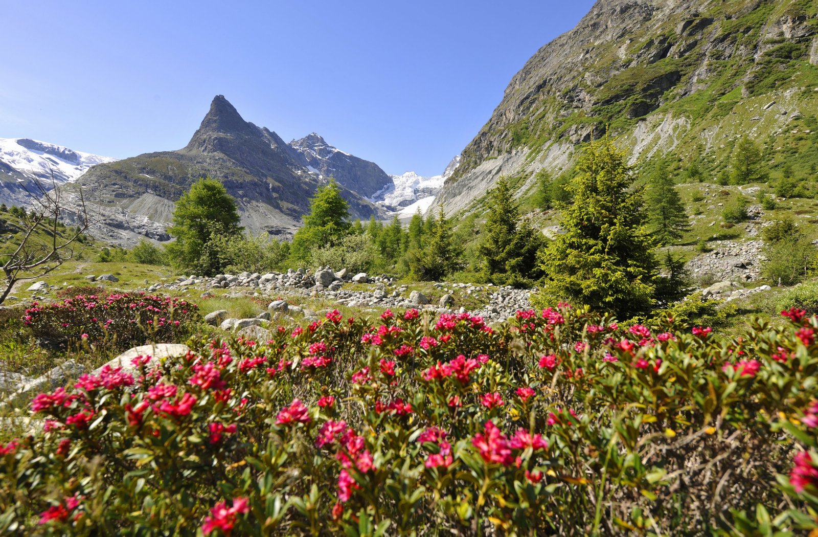 12 Erlebnisse Oberwallis | MANU Touristik