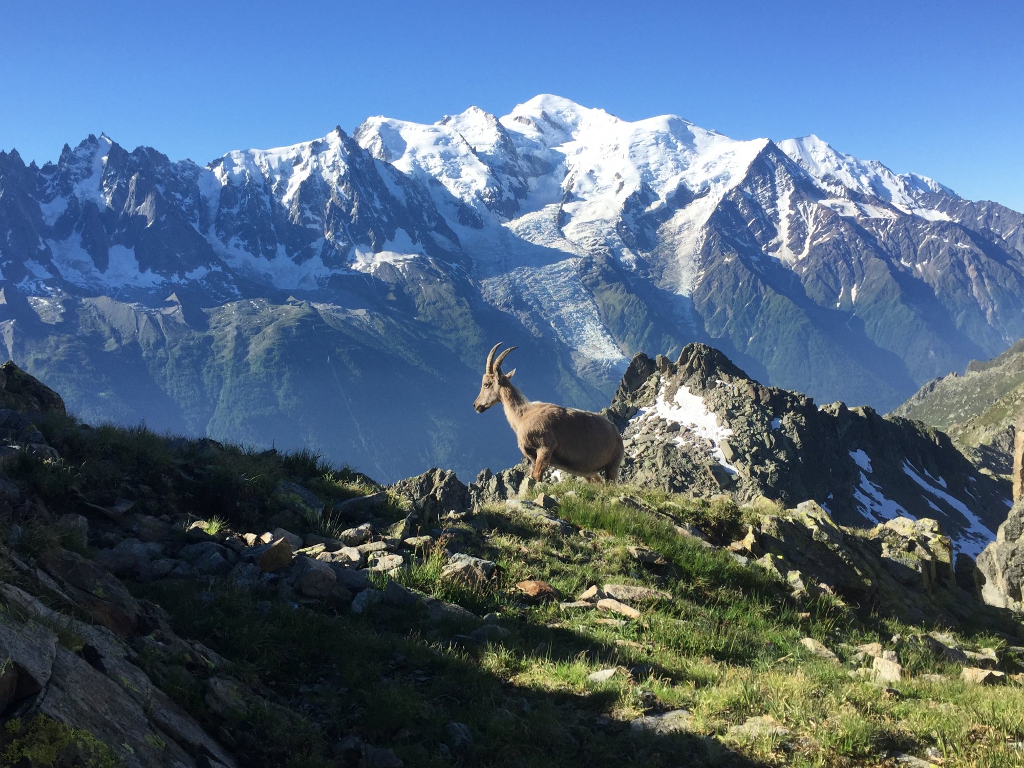 Schweiz Berge: Die schönsten Gipfel & Urlaubsziele | MANU Touristik